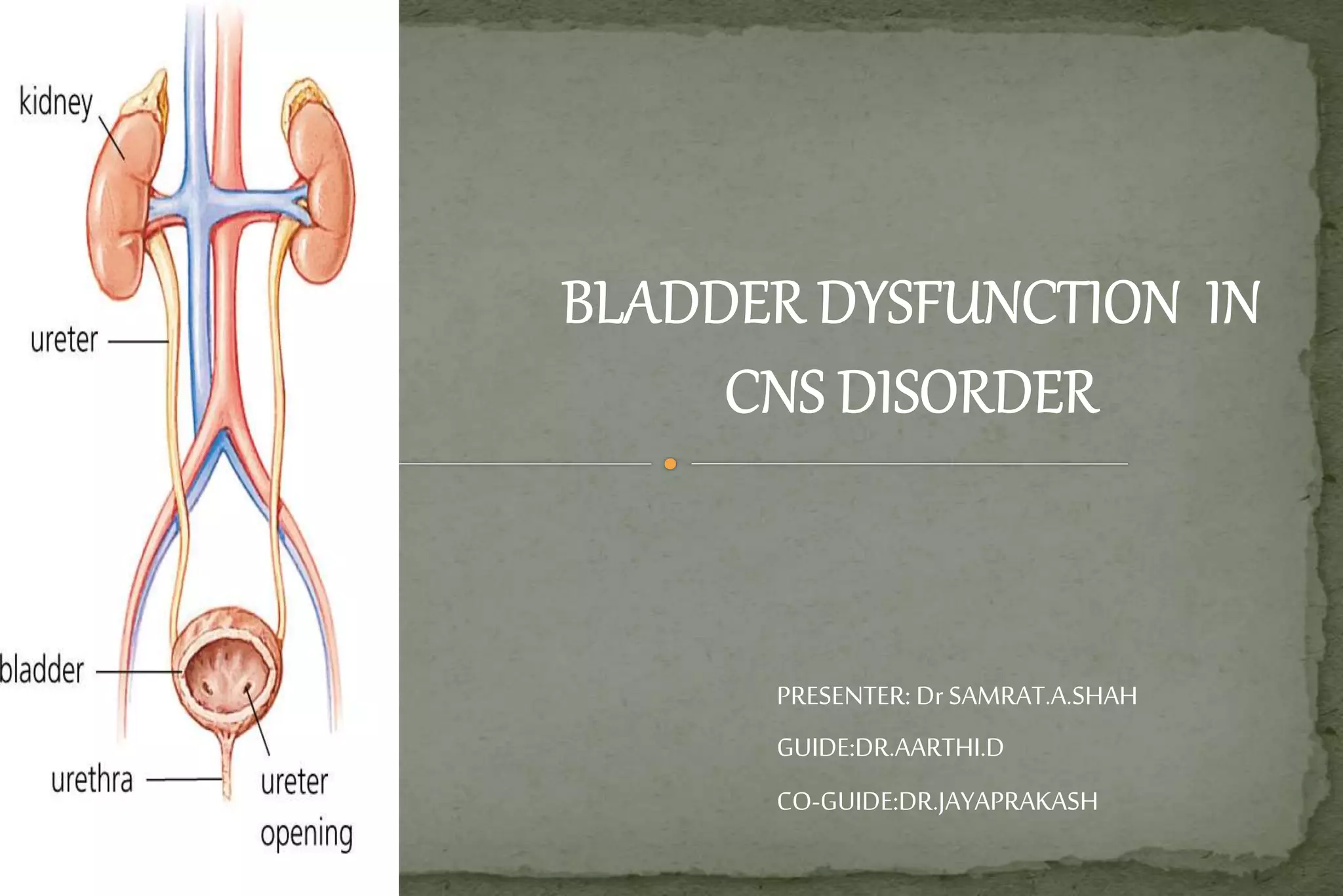 Bladder dysfunction in cns disorder | PPTX
