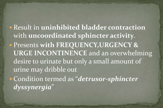 Bladder dysfunction in cns disorder | PPTX