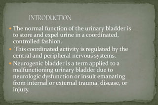 Bladder dysfunction in cns disorder | PPTX