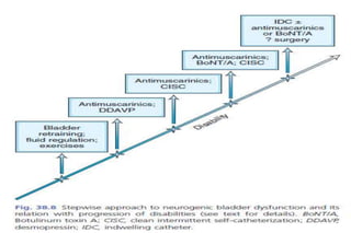 Bladder dysfunction in cns disorder | PPTX