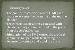 Bladder dysfunction in cns disorder | PPTX