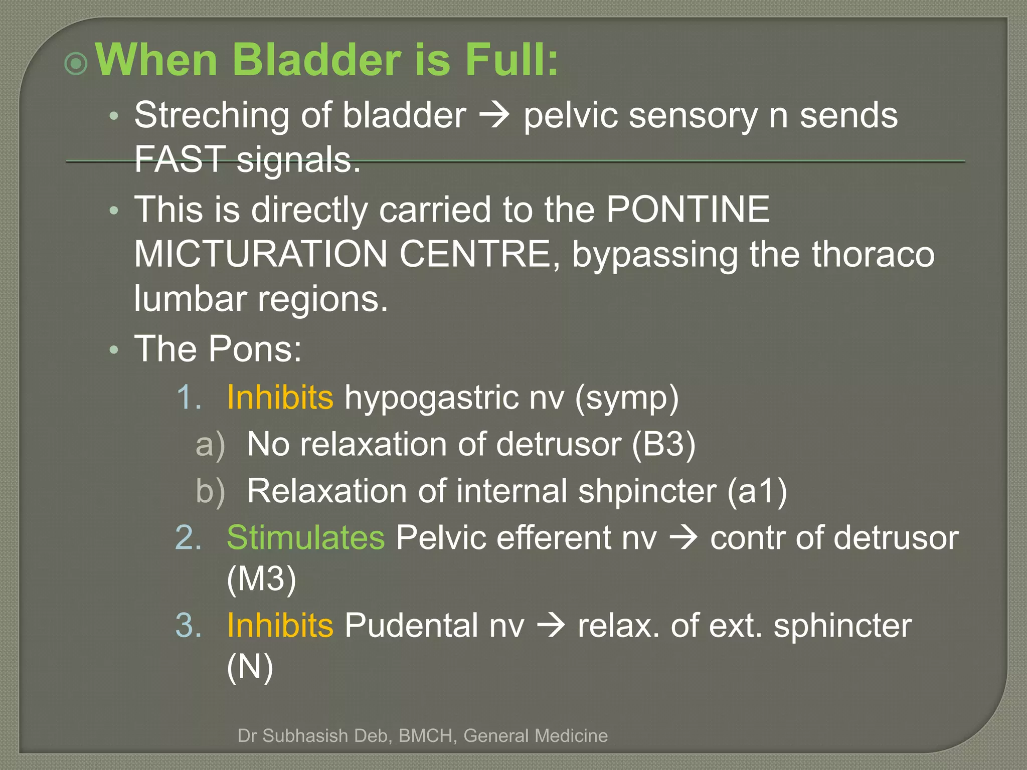 Bladder dysfunction in different neurological diseases | PPTX