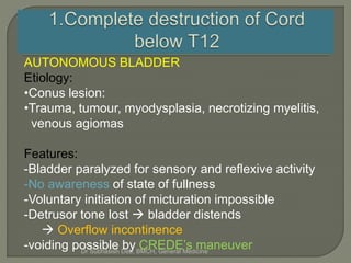 Bladder dysfunction in different neurological diseases | PPTX