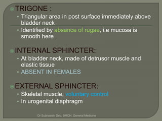 Bladder dysfunction in different neurological diseases | PPTX