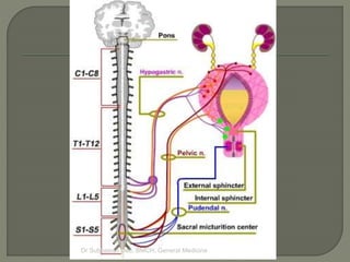 Bladder dysfunction in different neurological diseases | PPTX