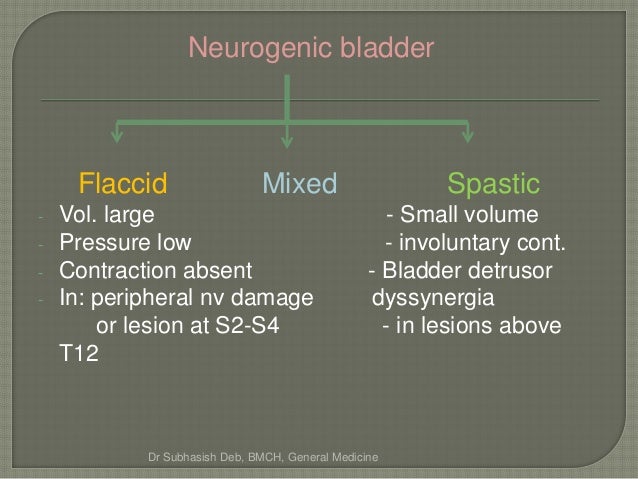 Bladder dysfunction in different neurological diseases