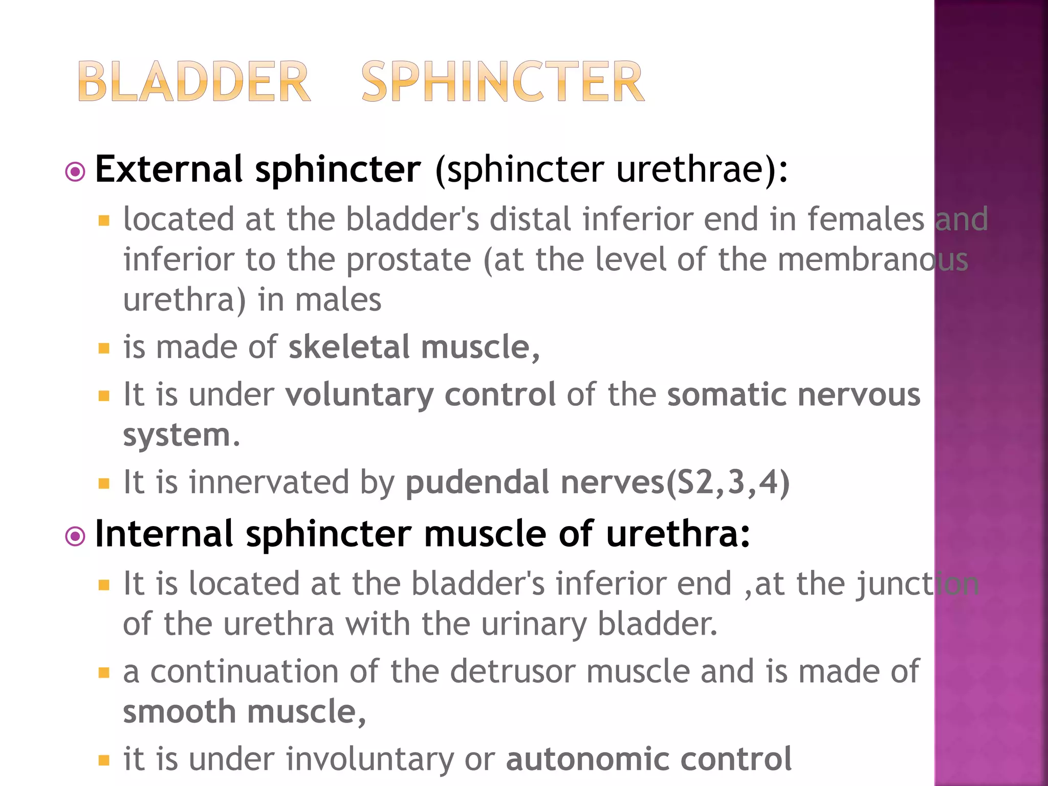 bladder dysfunction syndrome 3.pptx