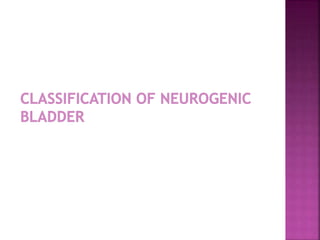 bladder dysfunction syndrome 3.pptx