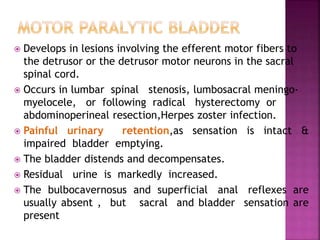 bladder dysfunction syndrome 3.pptx