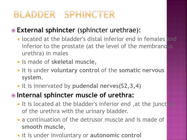 bladder dysfunction syndrome 3.pptx
