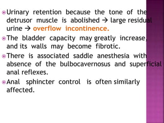 bladder dysfunction syndrome 3.pptx