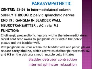 bladder dysfunction syndrome 3.pptx