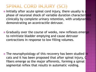 bladder dysfunction syndrome 3.pptx