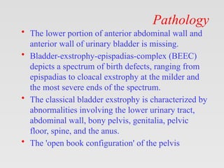 Bladder Exstrophy Epispadias Complex .pptx