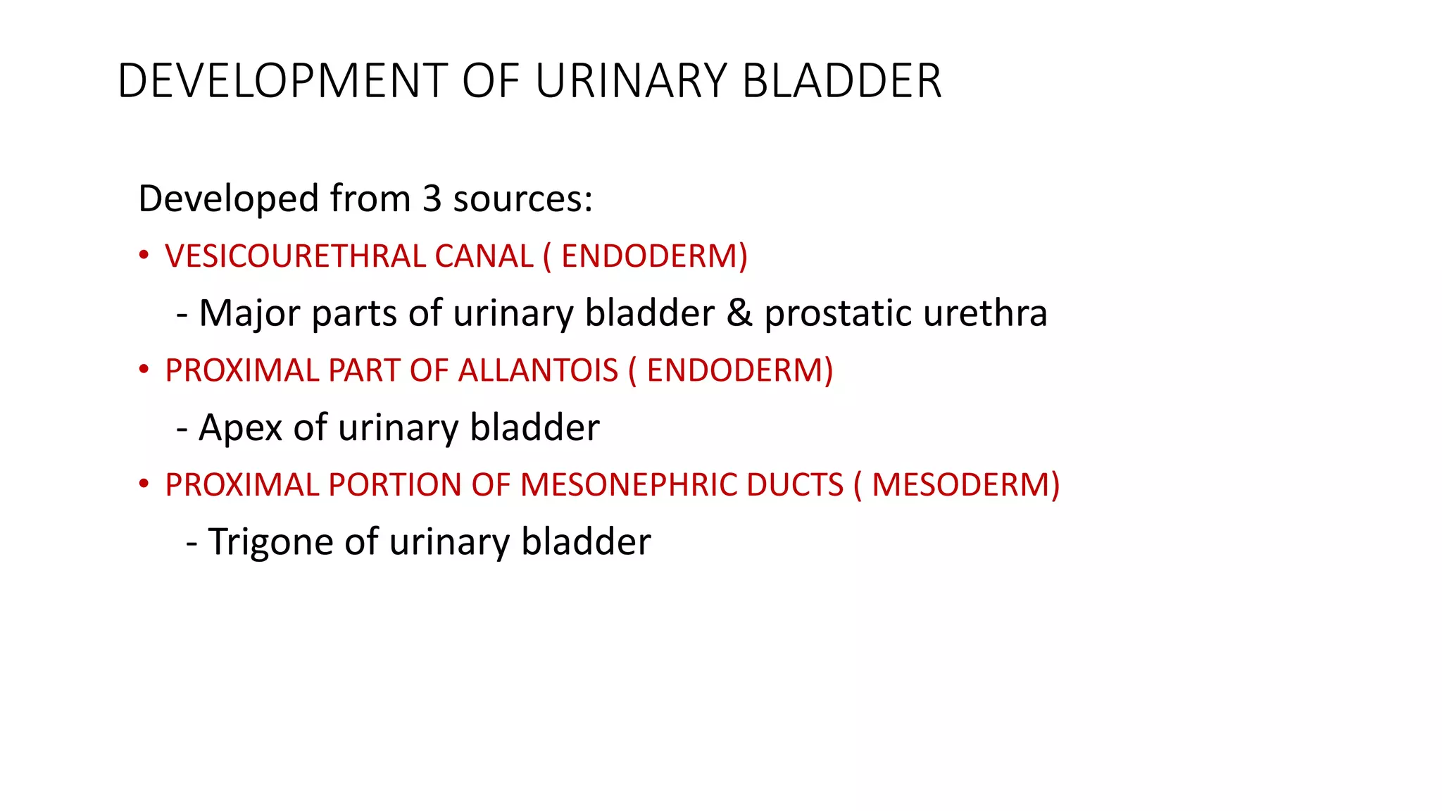 Bladder innervation | PPTX