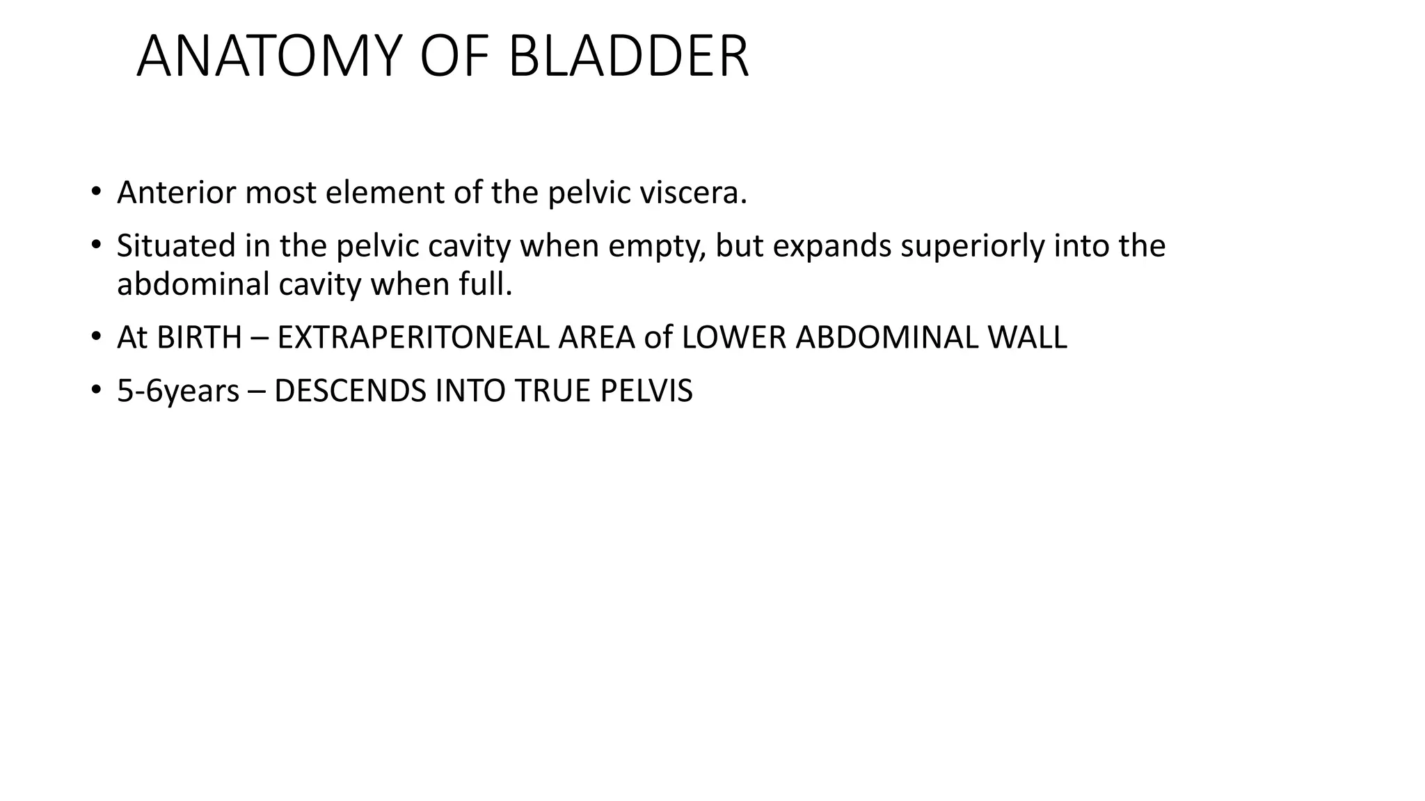 Bladder innervation | PPTX
