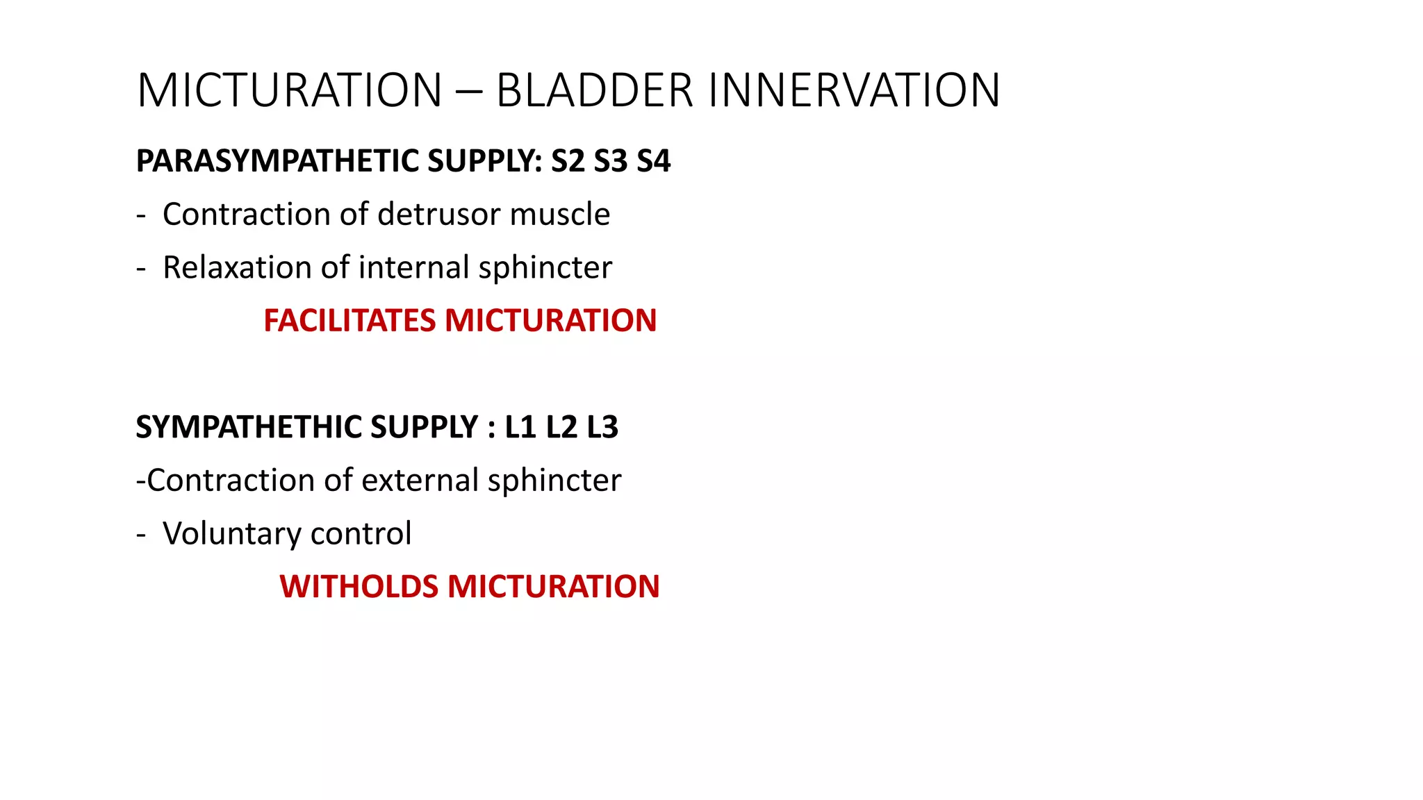 Bladder innervation | PPTX