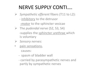 Bladder Innervation and Neurogenic Bladder.pptx