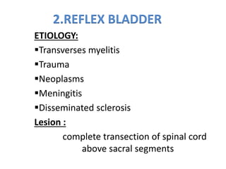Bladder Innervation and Neurogenic Bladder.pptx