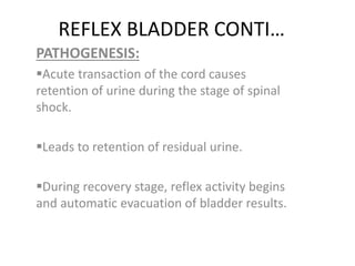 Bladder Innervation and Neurogenic Bladder.pptx