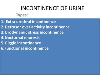 Bladder Innervation and Neurogenic Bladder.pptx