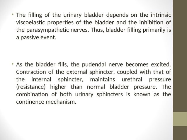 BLADDER INNERVATION,nerve supply power point | PPT