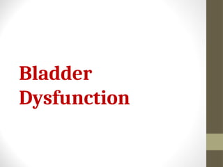 BLADDER INNERVATION,nerve supply power point | PPT