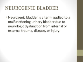 BLADDER INNERVATION,nerve supply power point | PPT