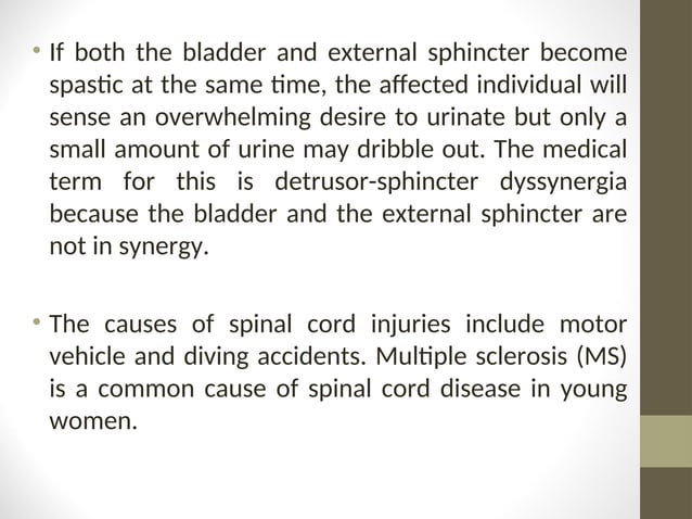 BLADDER INNERVATION,nerve supply power point | PPT
