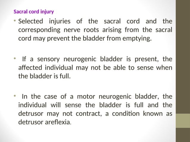 BLADDER INNERVATION,nerve supply power point | PPT