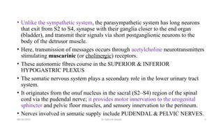 BLADDER INNERVATION nerve supply nervous | PPTX