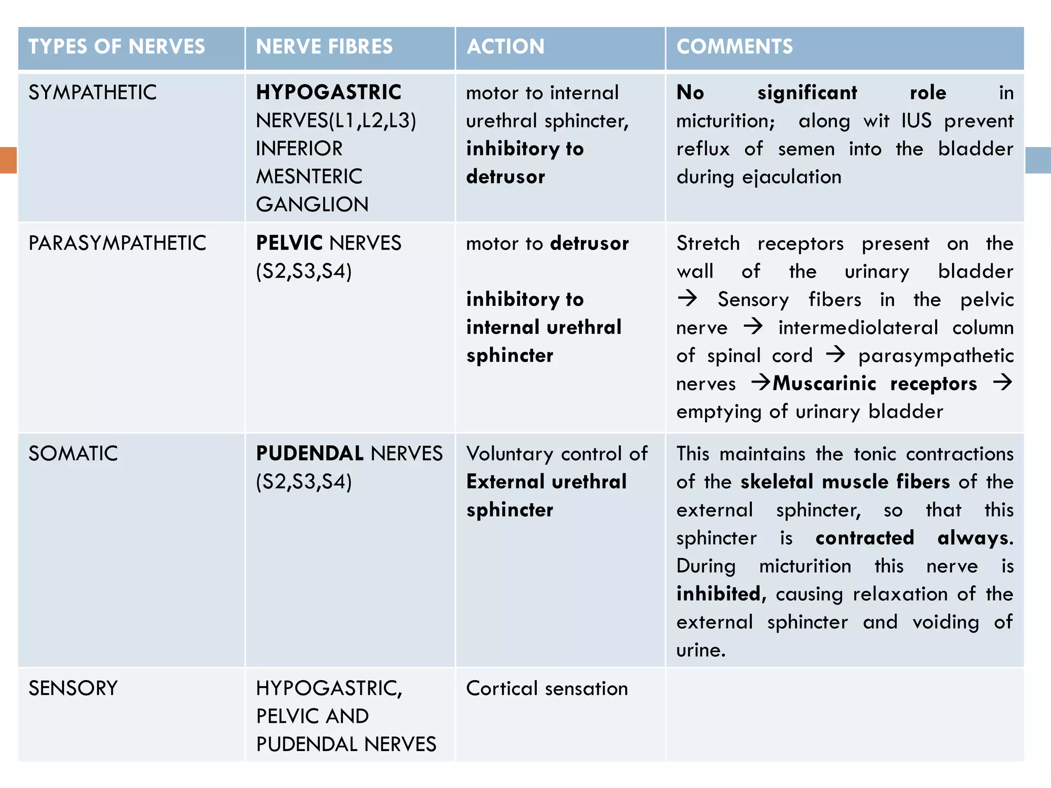 Bladder innervation, physiology of micturition | PPTX