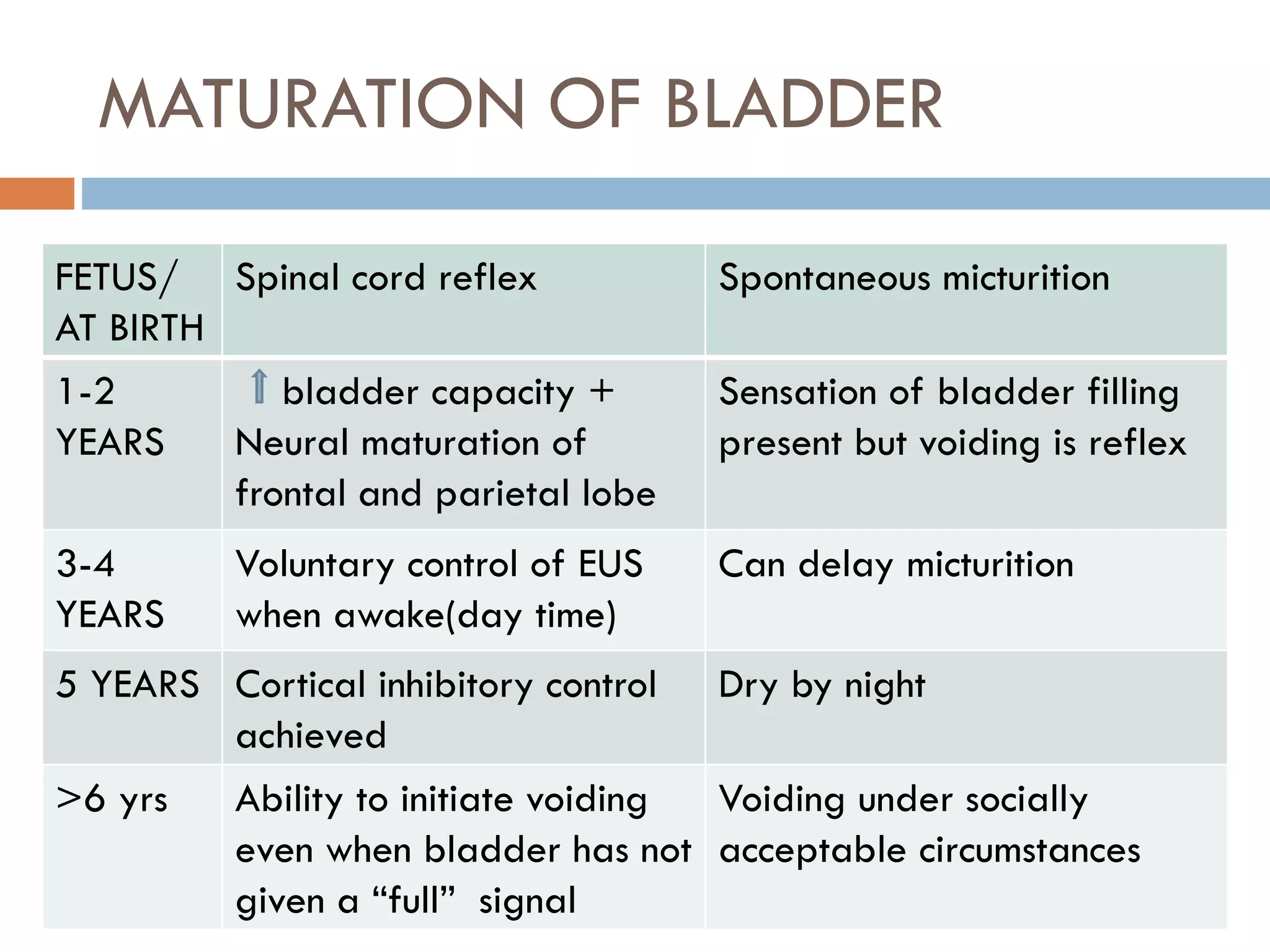 Bladder innervation, physiology of micturition | PPTX