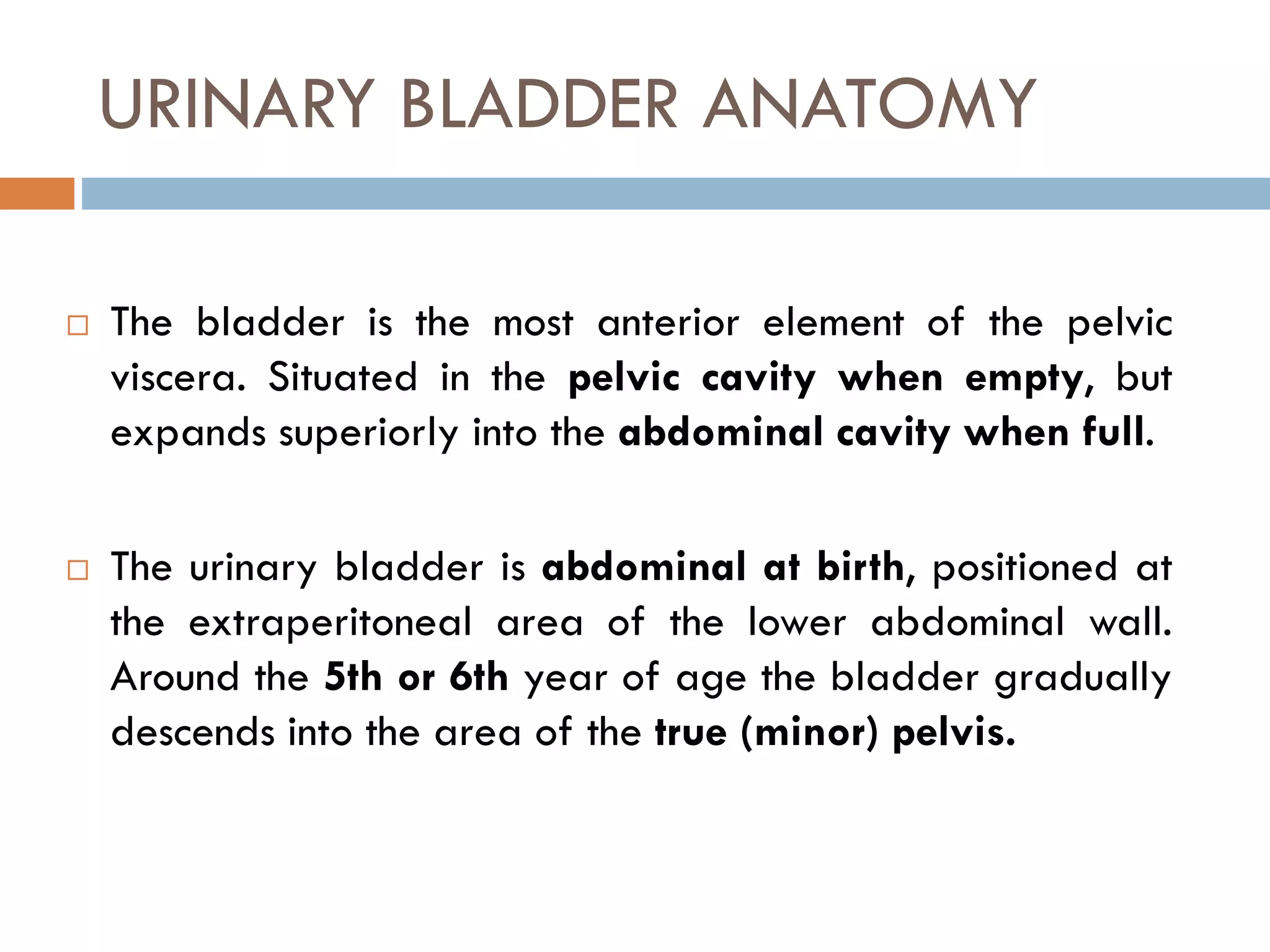 Bladder innervation, physiology of micturition | PPTX
