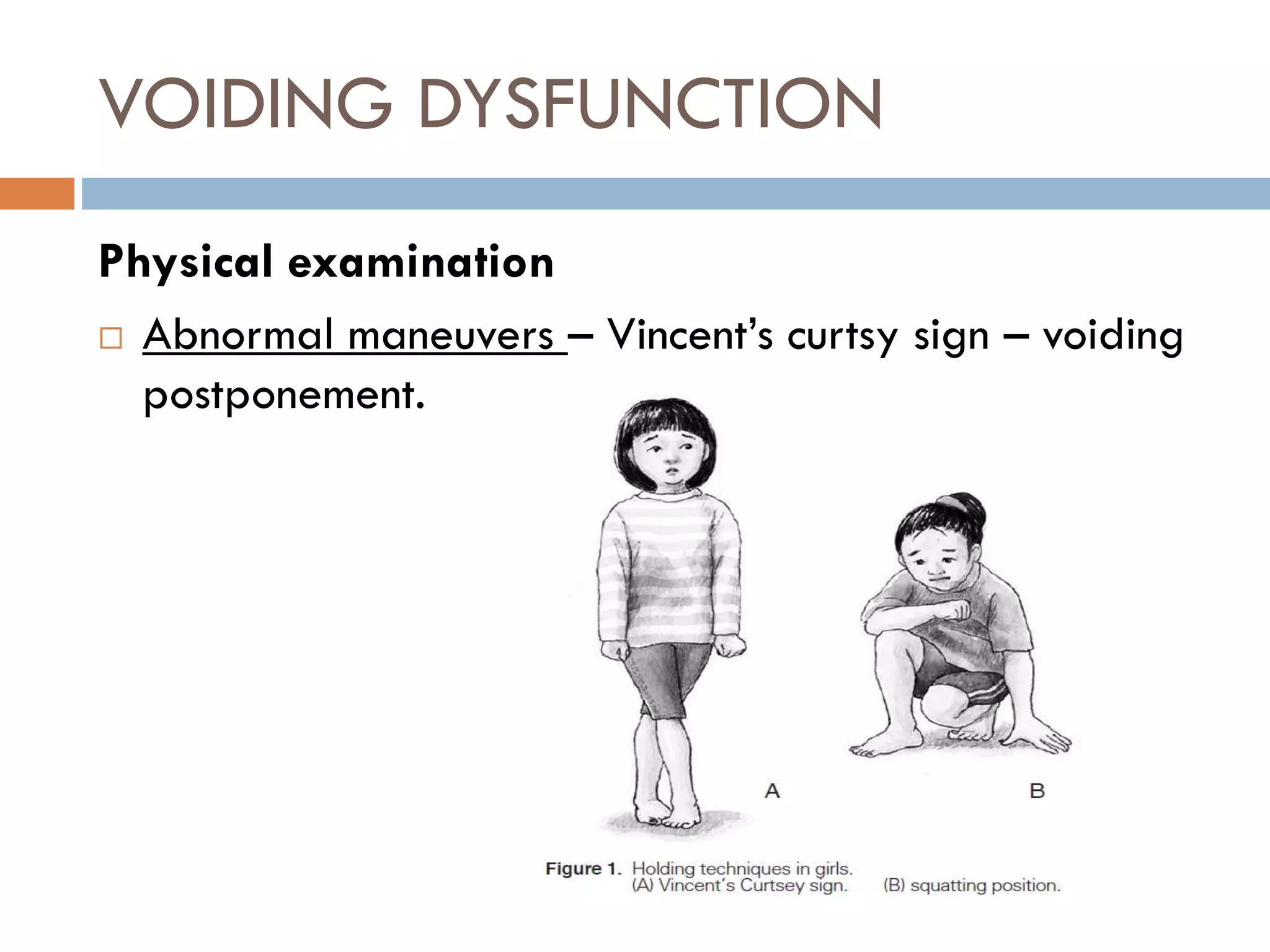 Bladder innervation, physiology of micturition | PPTX