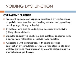Bladder innervation, physiology of micturition | PPTX
