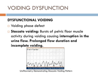 Bladder innervation, physiology of micturition | PPTX