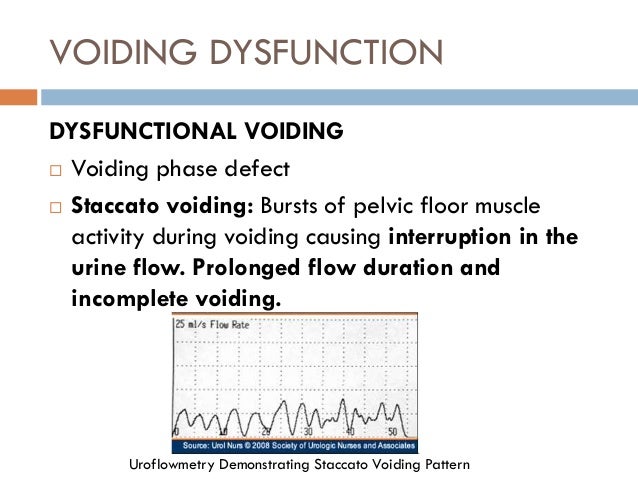 Bladder innervation, physiology of micturition