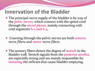 Bladder in paraplegia | PPTX