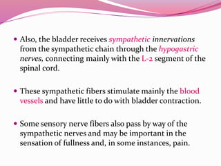 Bladder in paraplegia | PPTX