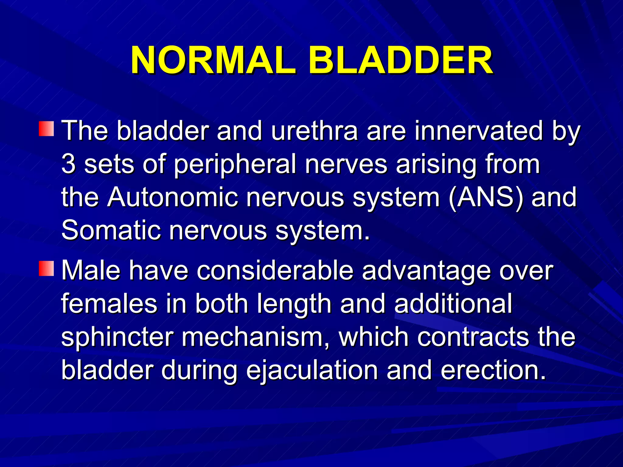 Bladder involvement in spine disorders | PPT