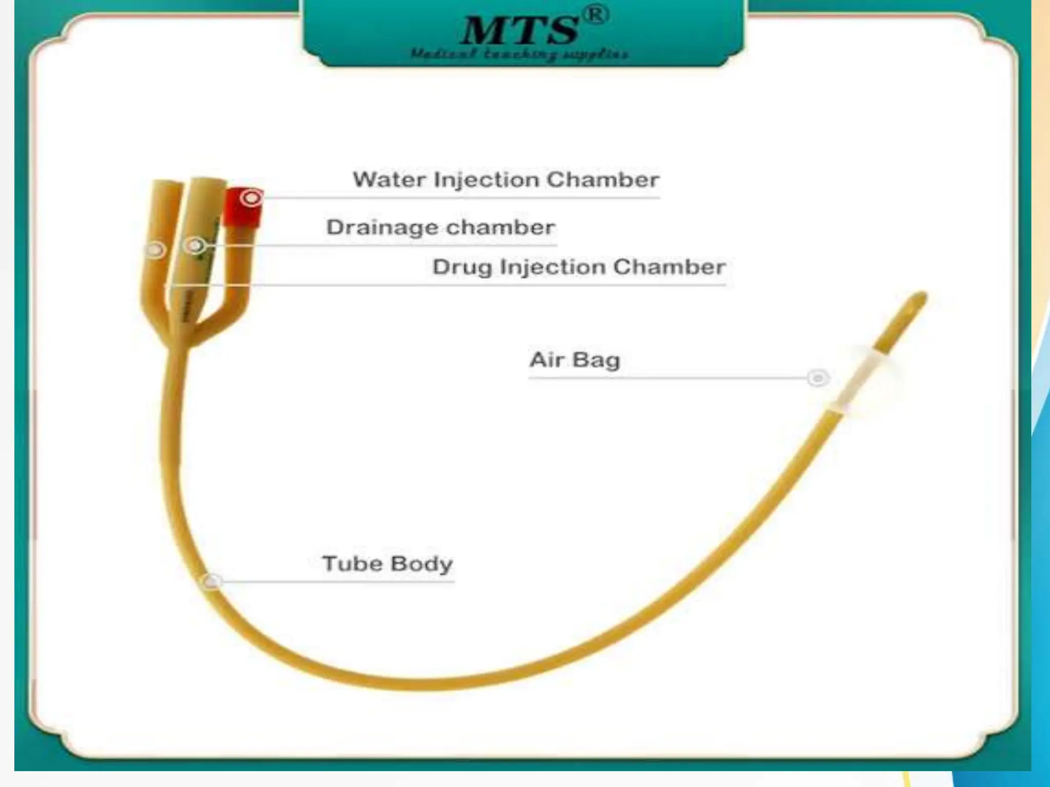 BLADDER_IRRIGATION[1] Mr. Tarique. 23.pptx