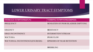 BLADDER OUTFLOW OBSTRUCTION(BOO) PPT.pptx