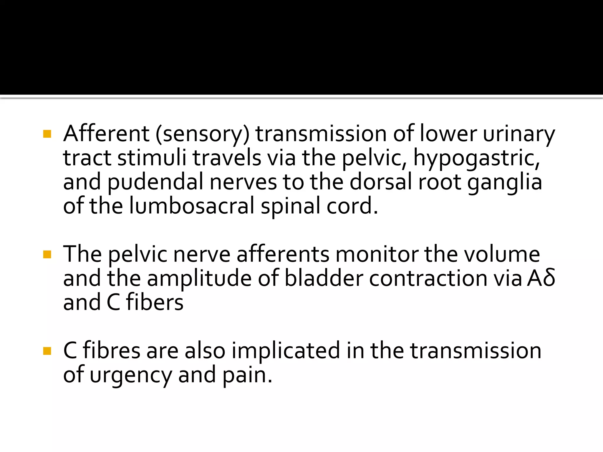 bladder physiology.pptx