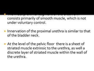 bladder physiology.pptx
