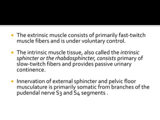 bladder physiology.pptx