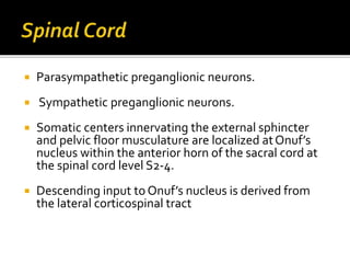 bladder physiology.pptx