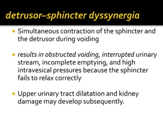 bladder physiology.pptx