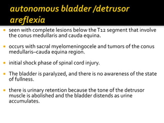 bladder physiology.pptx