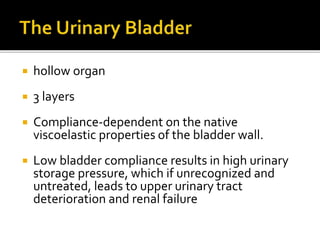 bladder physiology.pptx
